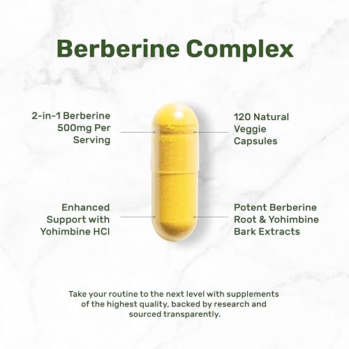 500mg berberine capsules for daily use