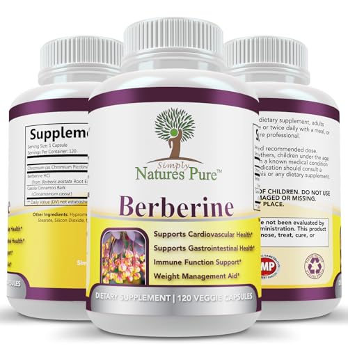 500mg berberine for gut health