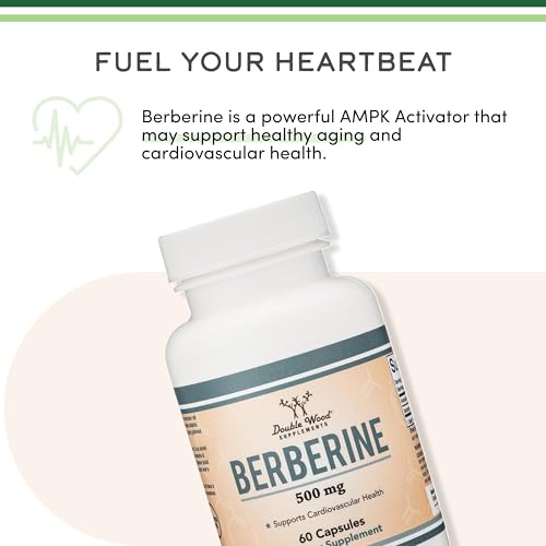 500mg berberine HCl health benefits