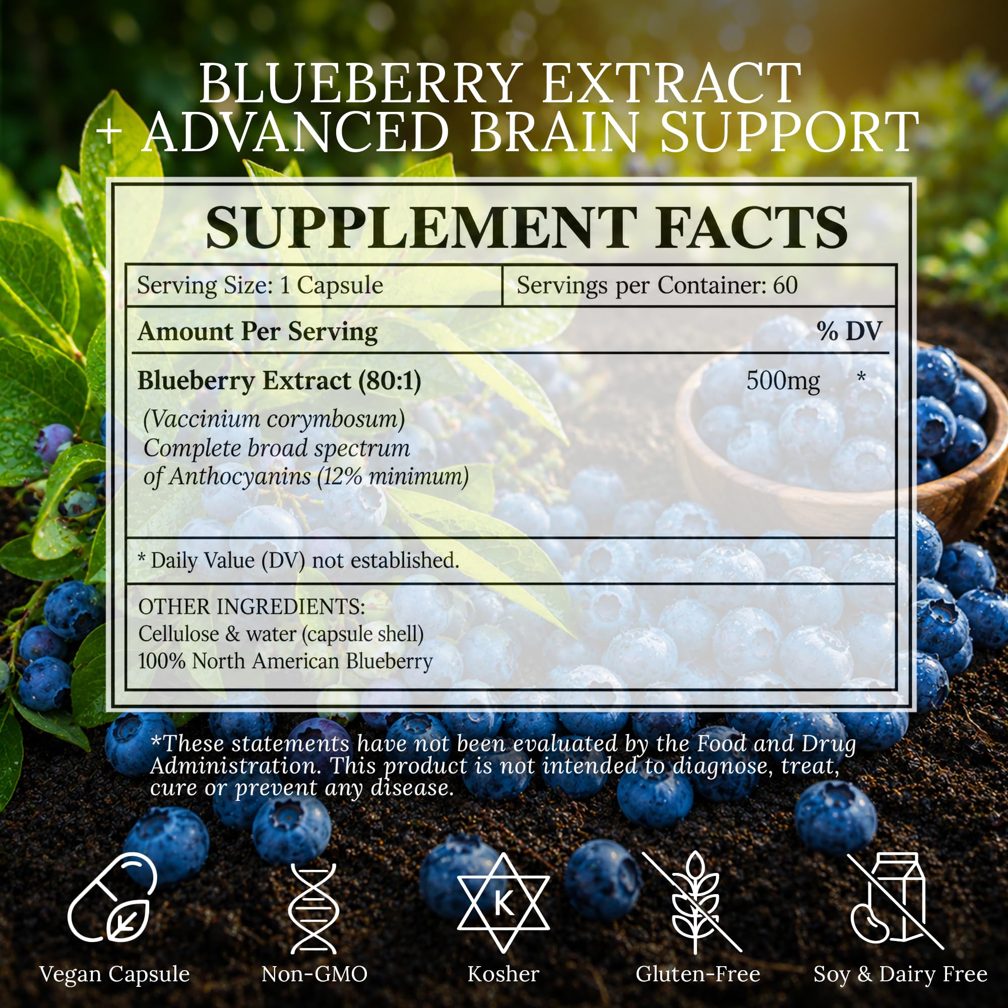 500mg blueberry extract capsules