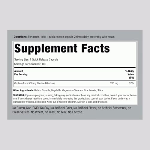 500mg choline for brain support