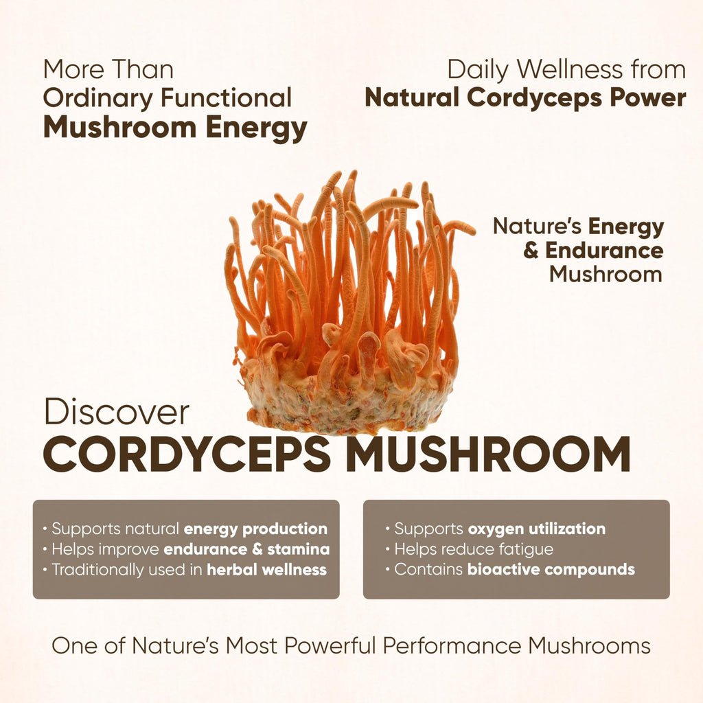 500mg Cordyceps mushrooms for vitality