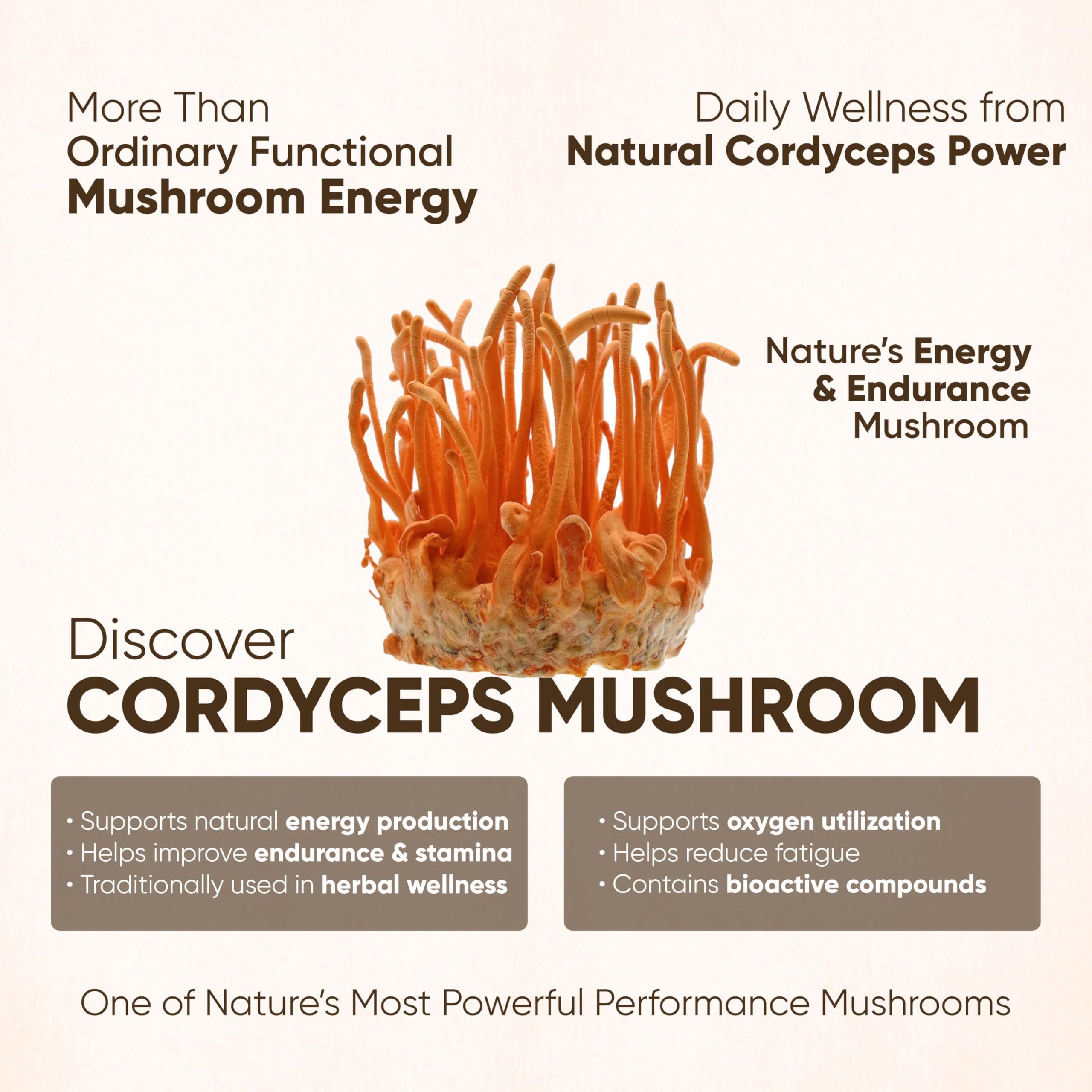 500mg Cordyceps mushrooms for vitality