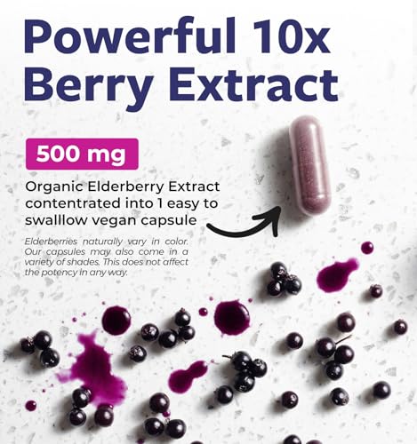 500mg elderberry extract for wellness