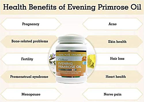 500mg evening primrose for wellness
