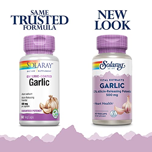 500mg garlic supplement for daily wellness