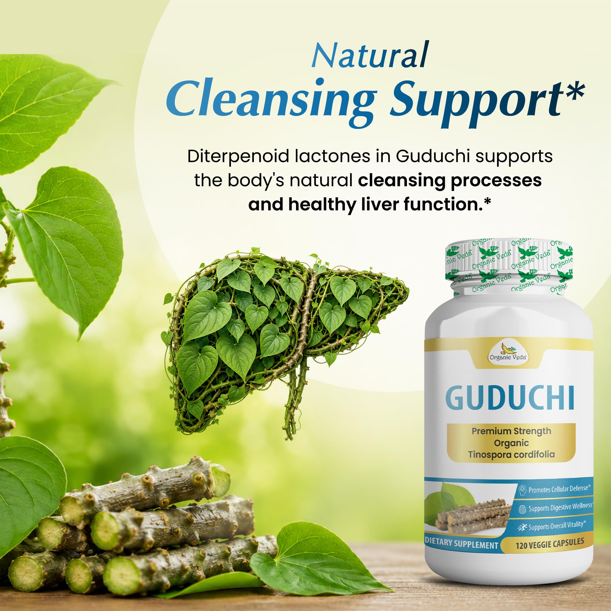 500mg guduchi capsules for daily health