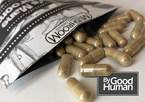 500mg Lions Mane mushrooms for cognitive function