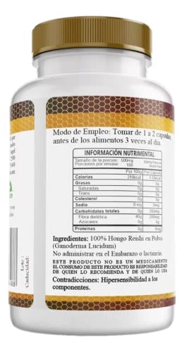 500mg mushroom capsules for vitality