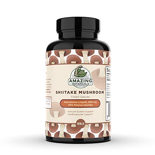 500MG mushroom supplement for wellbeing