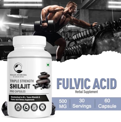 500MG shilajit capsules pack of 2