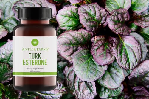 500mg Turkesterone for enhanced vitality