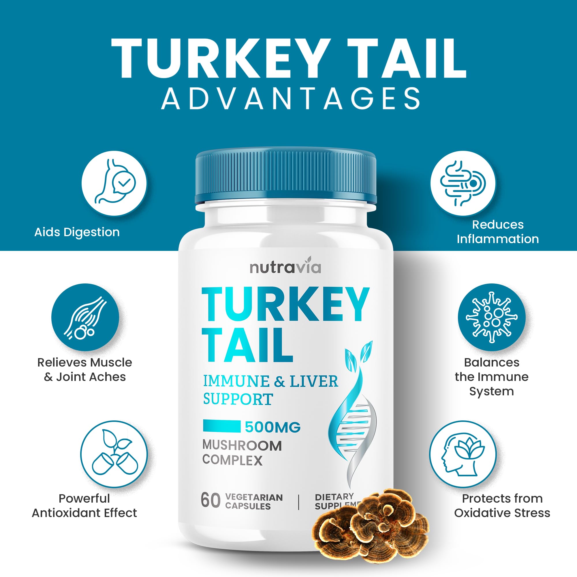 500mg Turkey Tail extract for health
