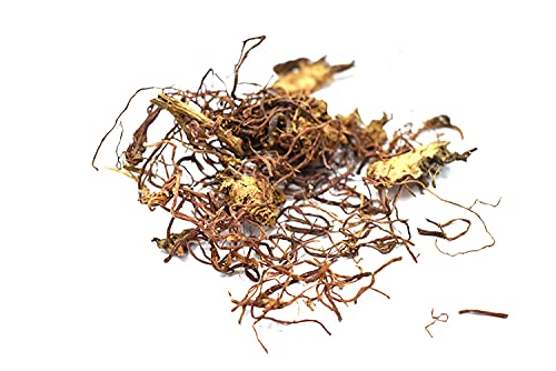 50g container of alfalfa