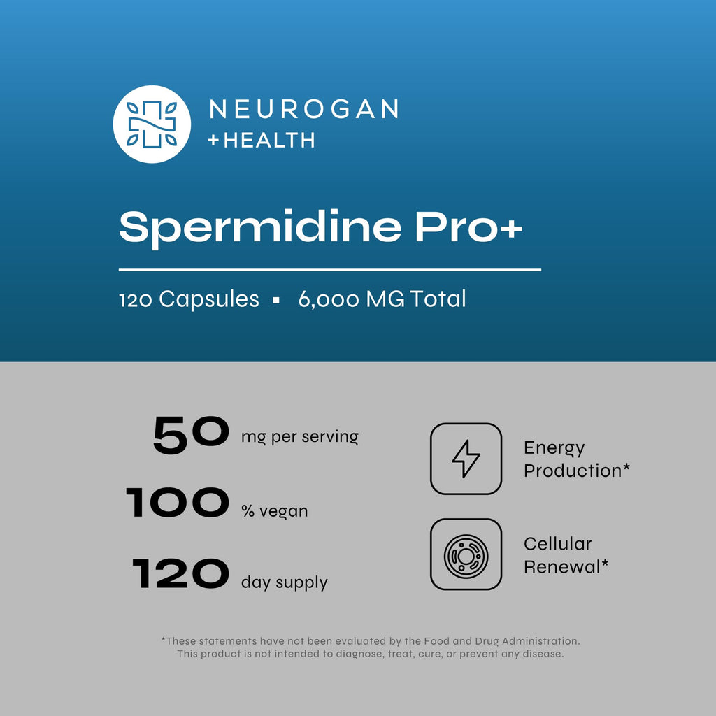 50mg spermidine per serving benefits
