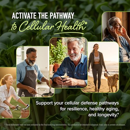 50MG sulforaphane herbal supplement