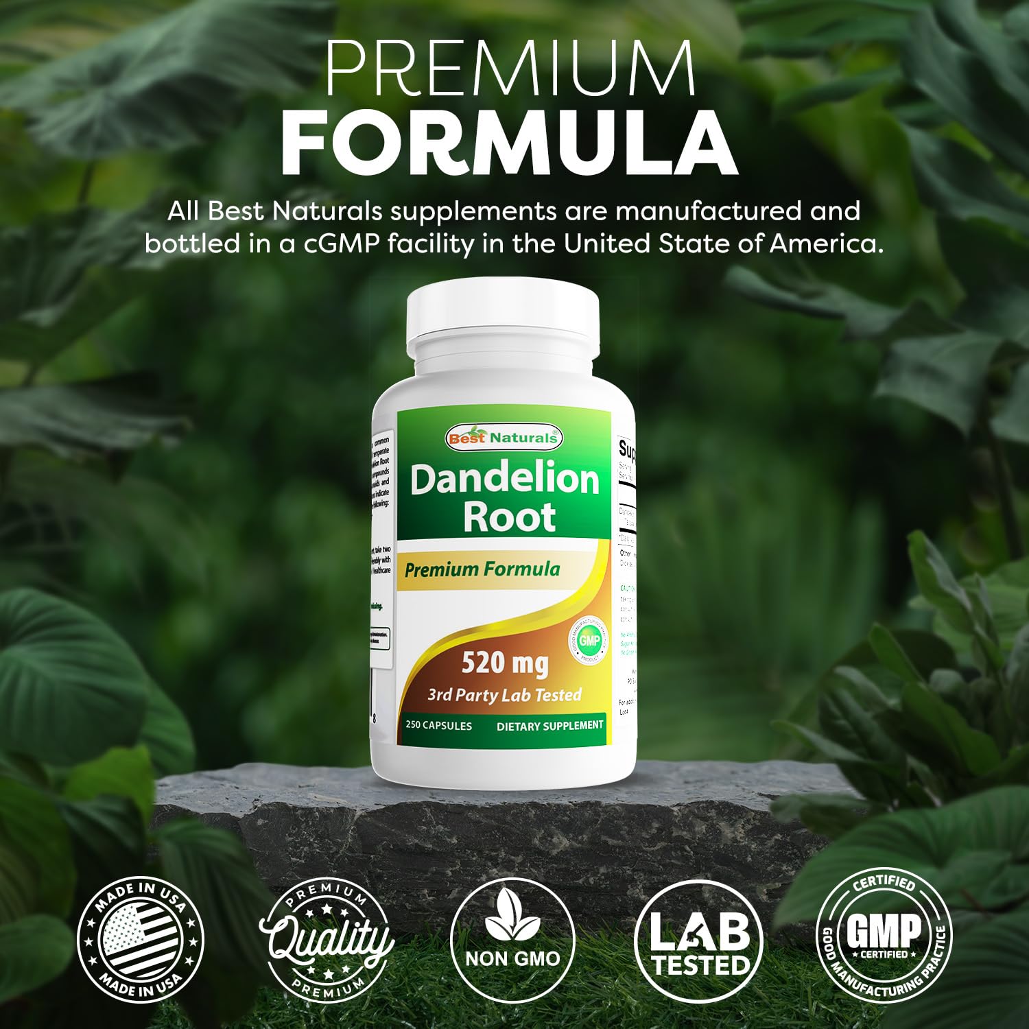 520 mg dandelion root for wellness