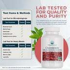 5400 mg cranberry extract for urinary support