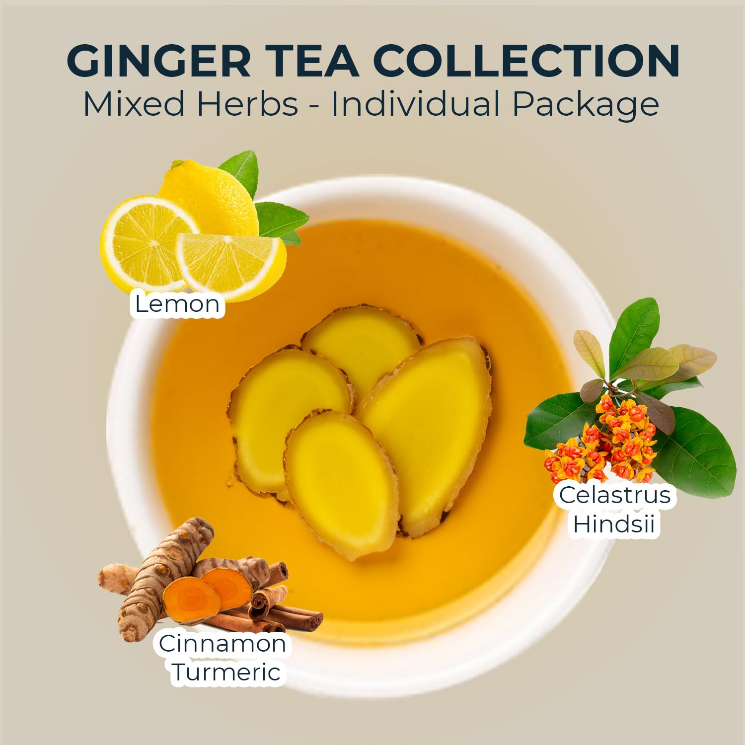 55 count ginger tea bags