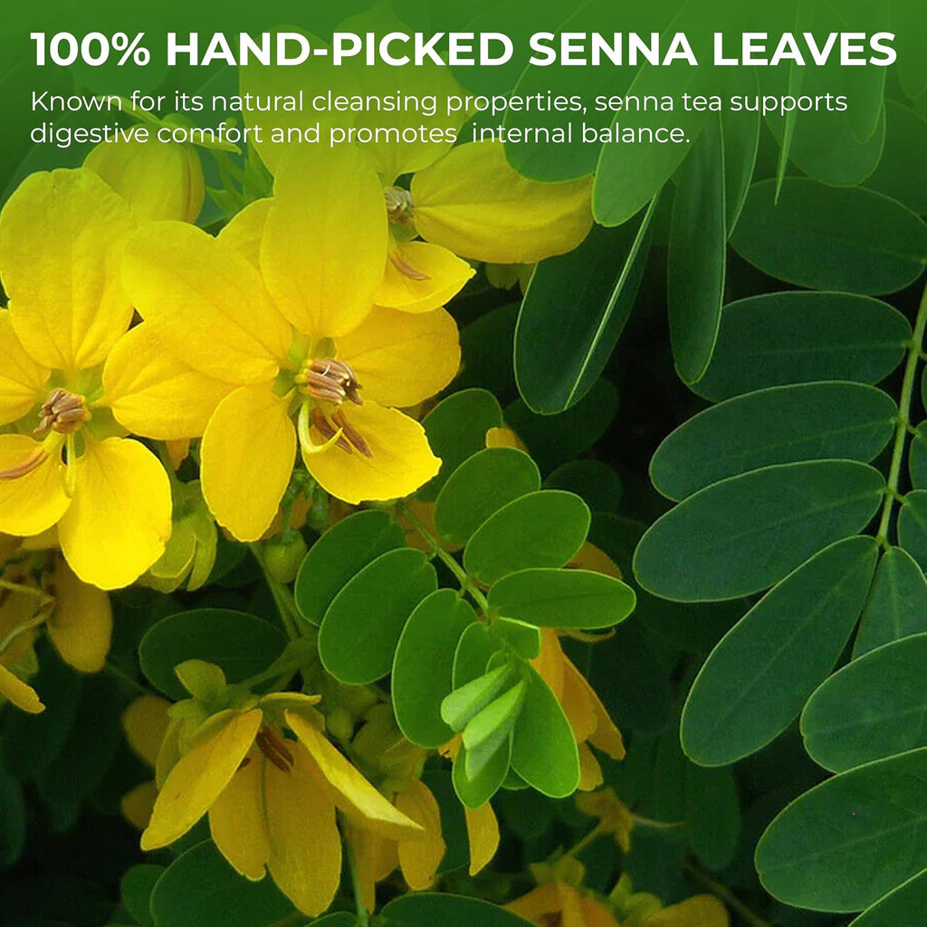 55 count senna tea bags