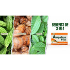 550 mg Ampalaya Plus health benefits