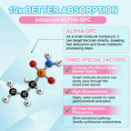 550 mg choline gummies for focus