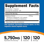 575 mg elderberry supplement for wellness