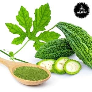 5lbs bitter melon powder supply