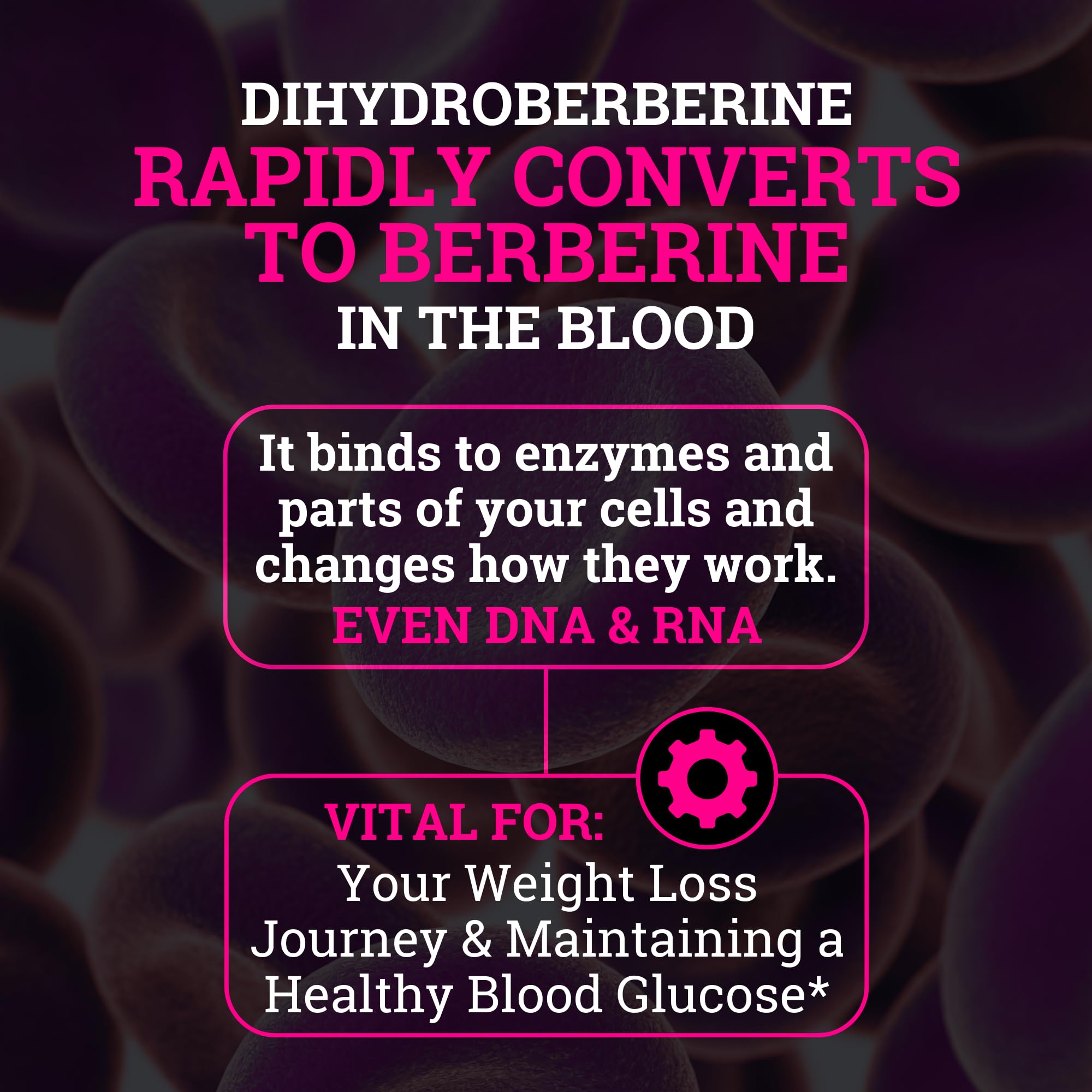 5X more effective berberine