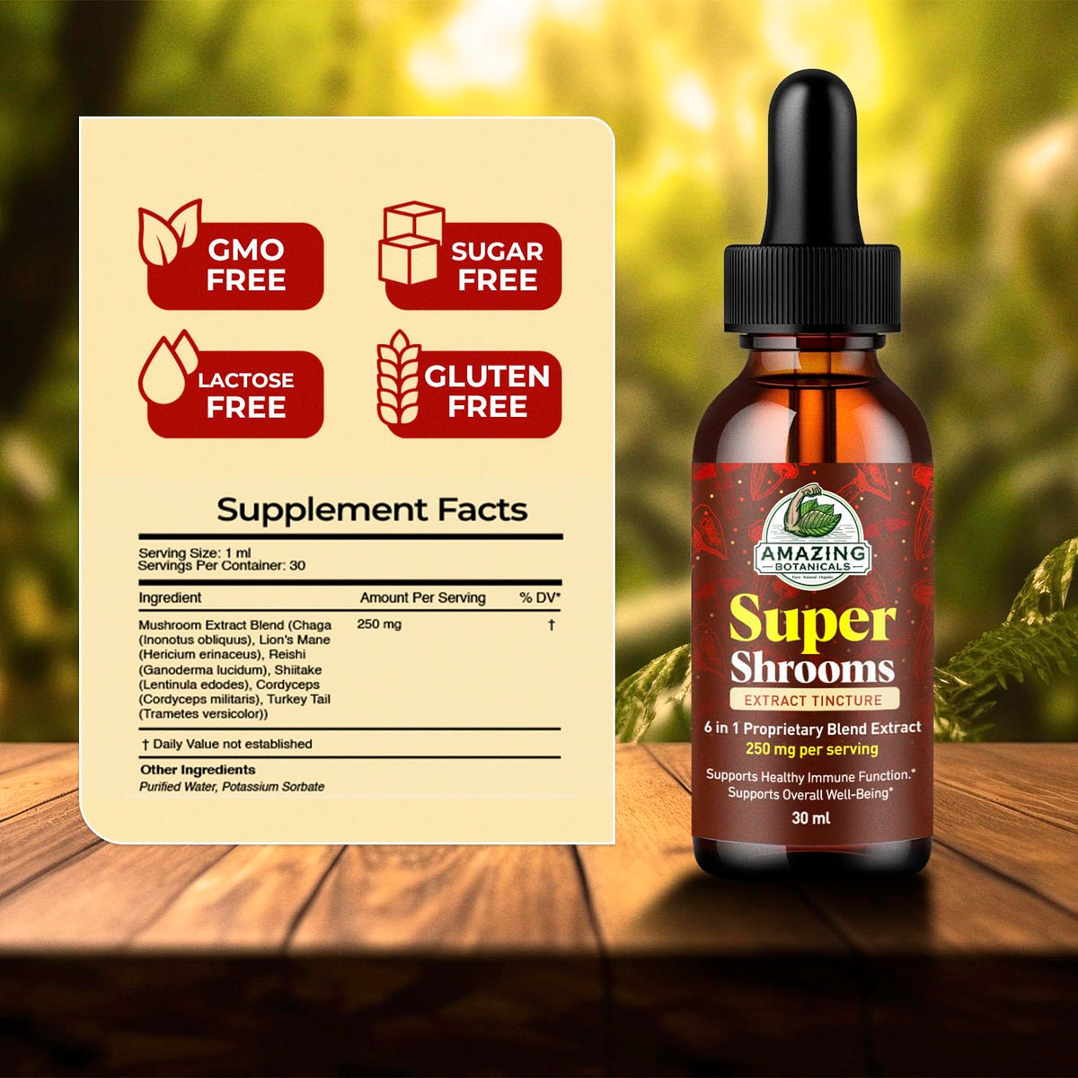 6 in 1 mushroom blend benefits
