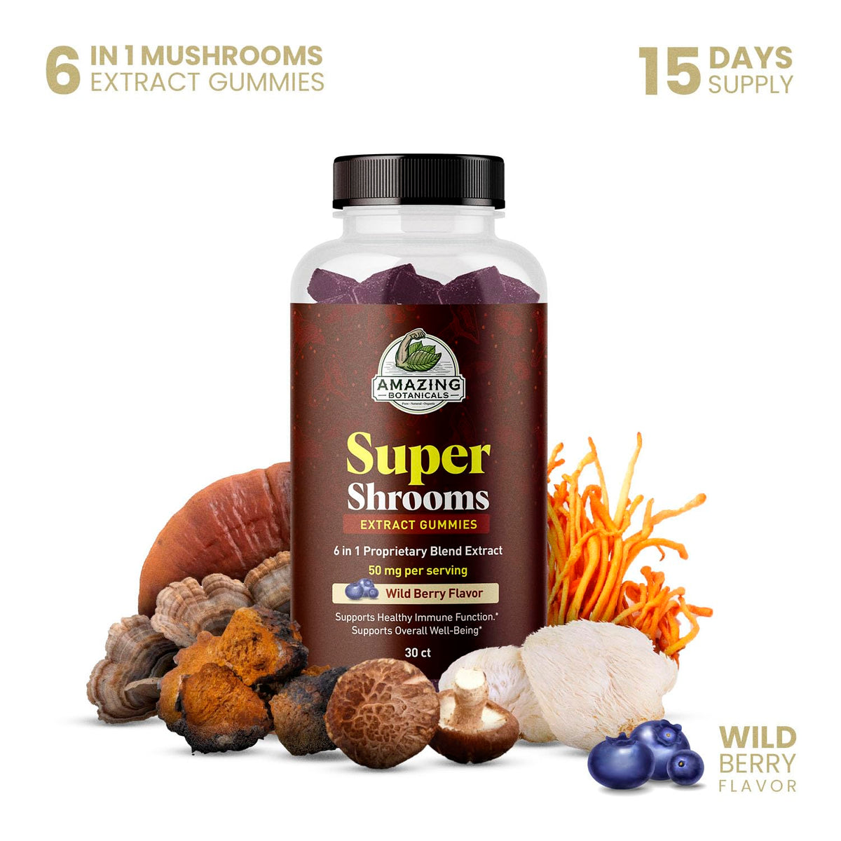 6-in-1 mushroom supplement for wellness