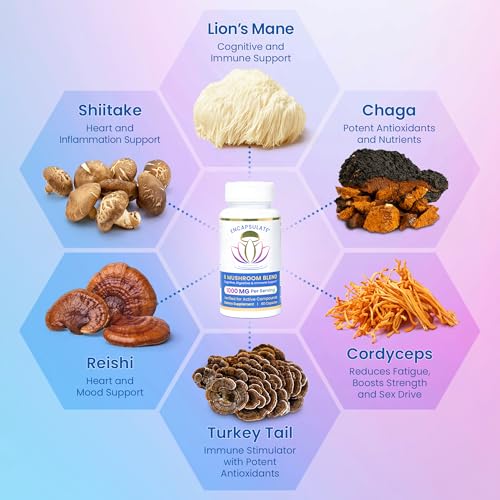 6 mushroom blend capsules for immunity