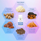 6 mushroom blend capsules for immunity
