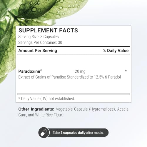 6-Paradol herbal supplement for energy