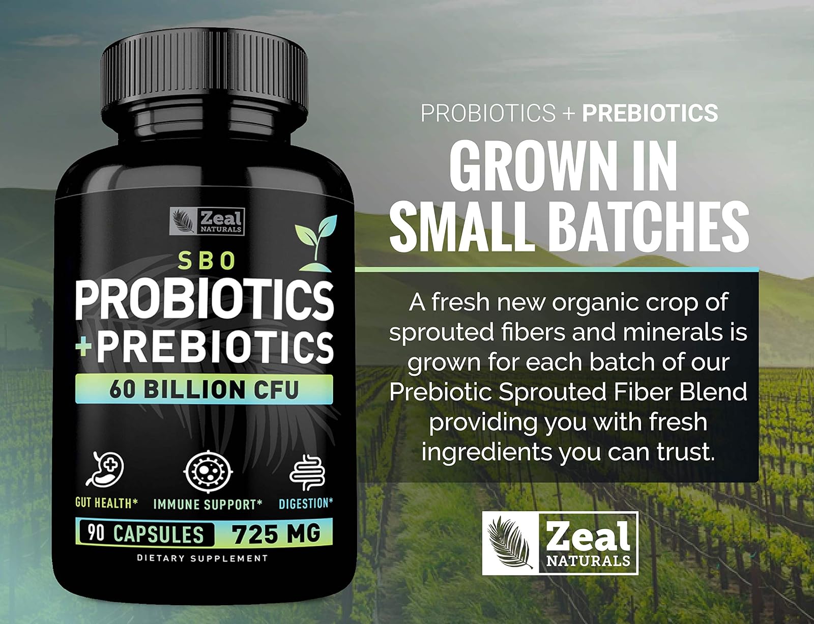 60 billion CFU probiotic formula