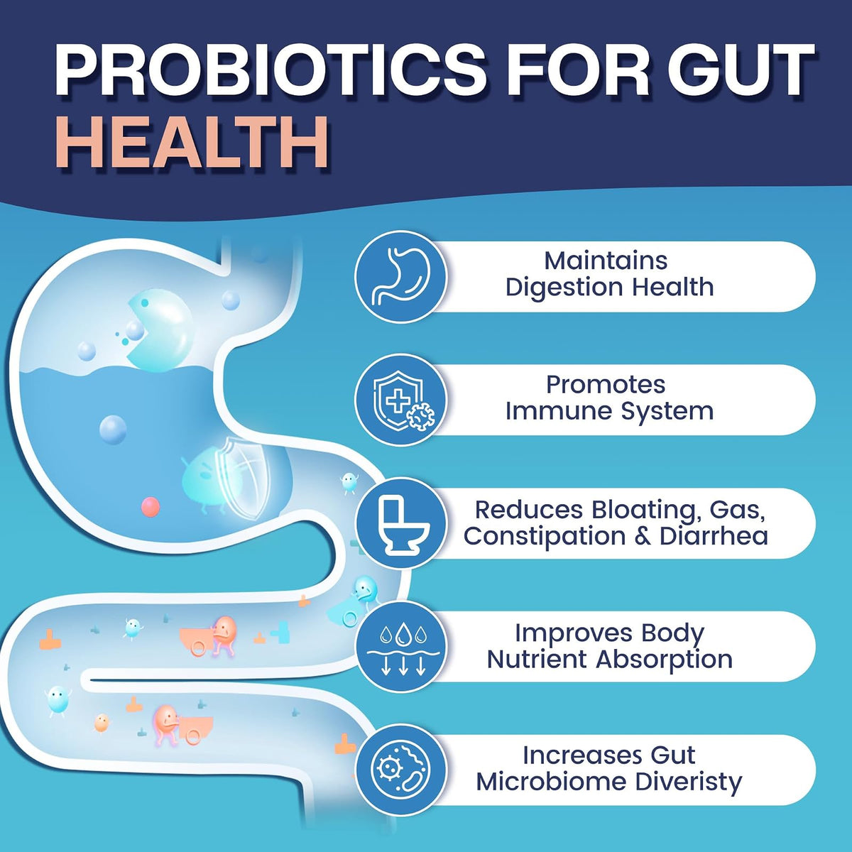 60 billion CFU probiotics for women
