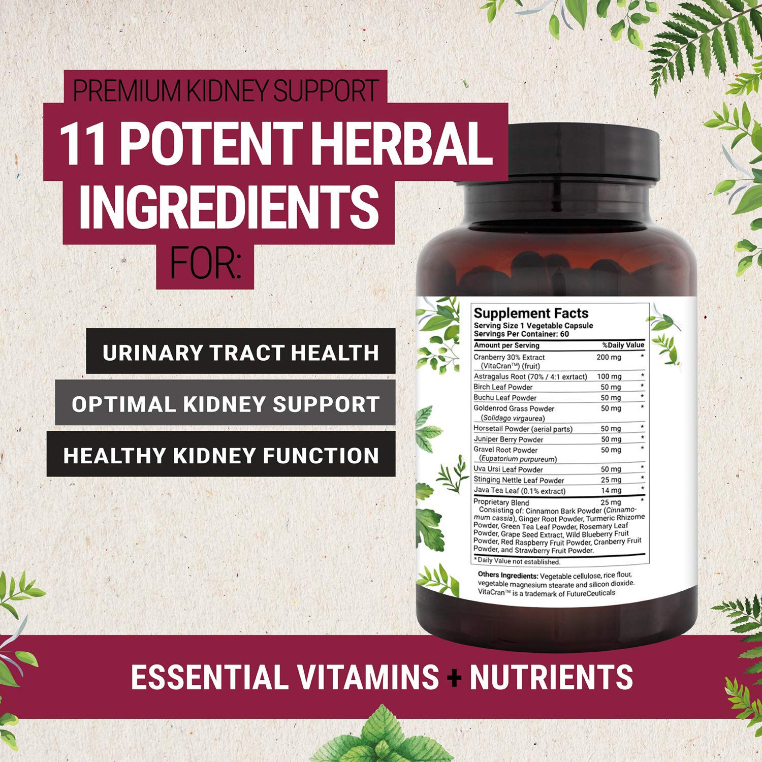 60 caps of kidney health support