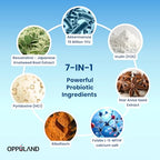 60 capsules for daily gut support