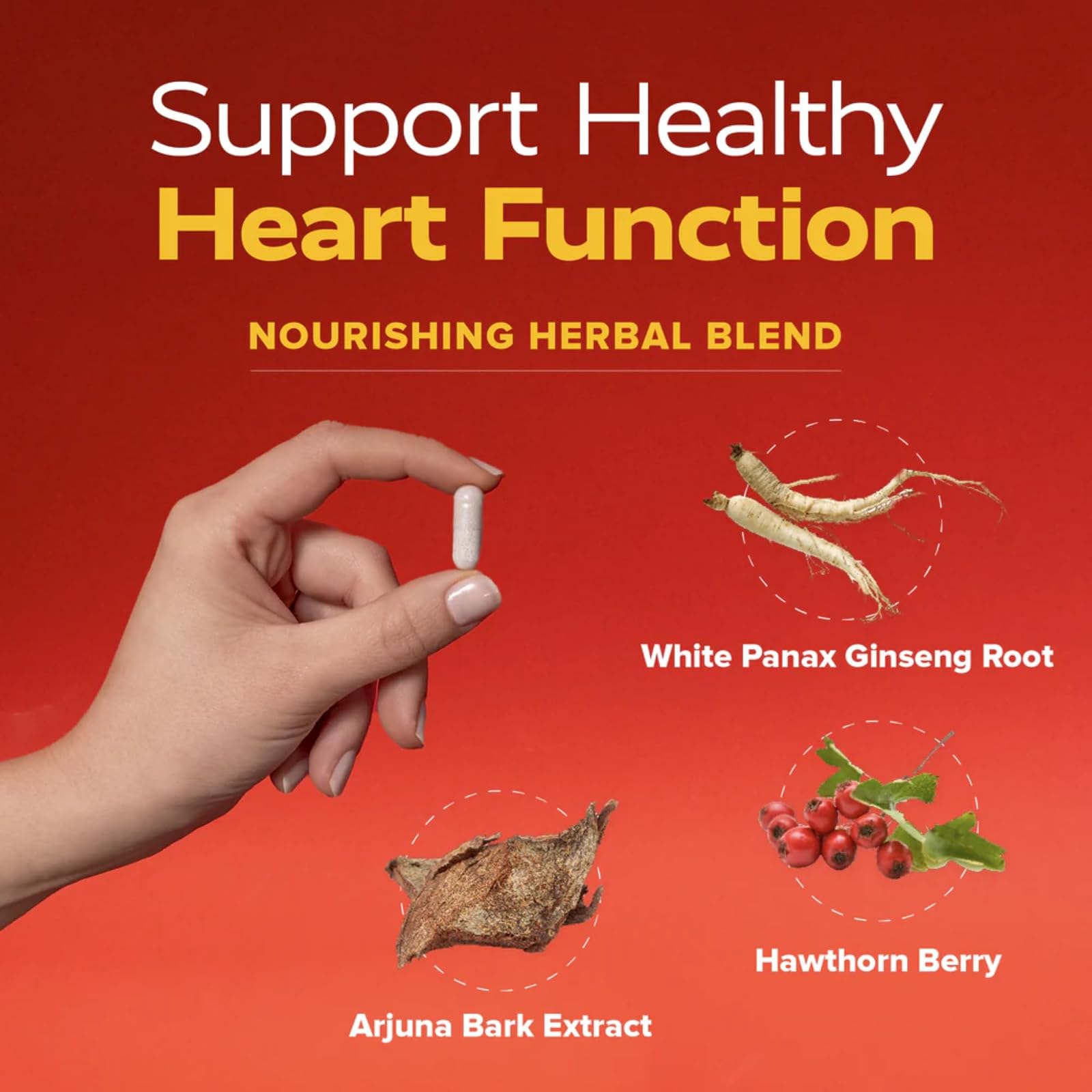 60 capsules for daily heart support