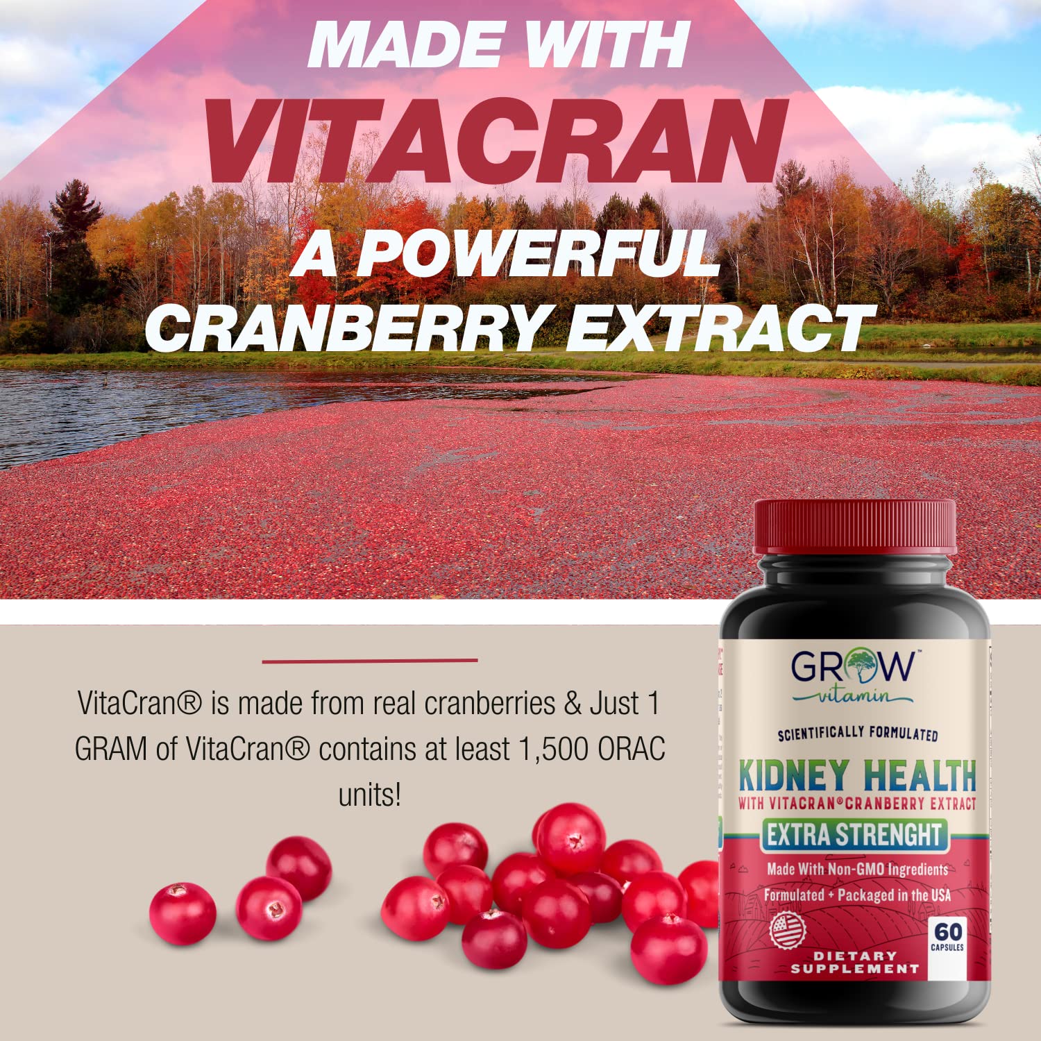 60 capsules for daily kidney care