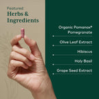 60 capsules for daily wellness