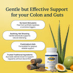 60 capsules for gut health