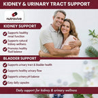 60 capsules for kidney support
