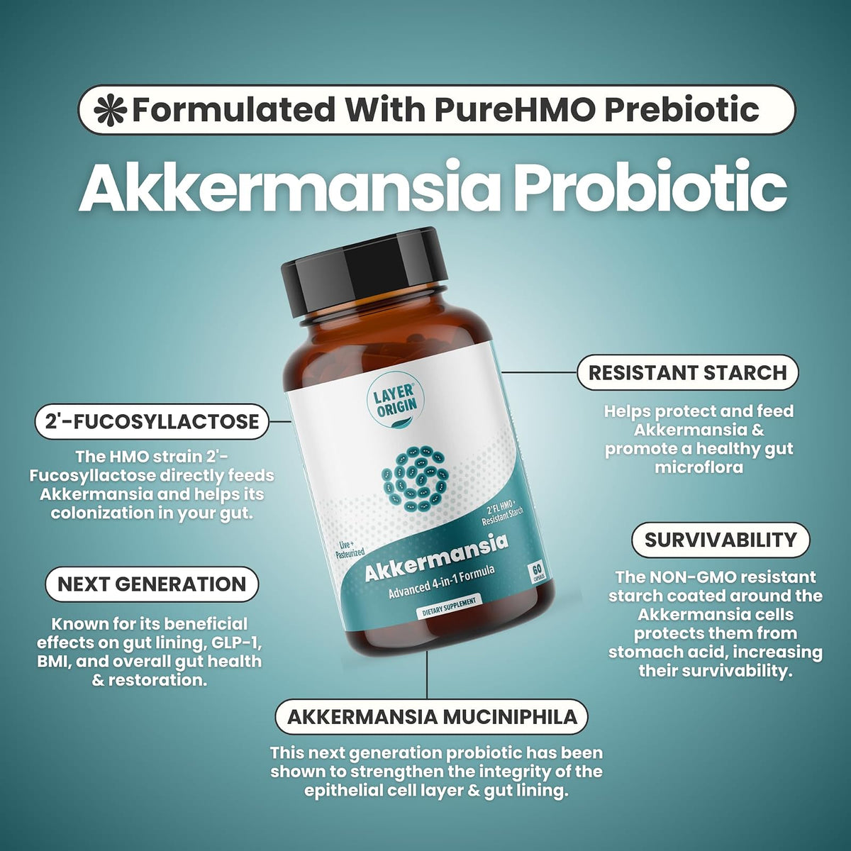 60 capsules of Akkermansia probiotics