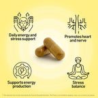 60 capsules of B vitamin power