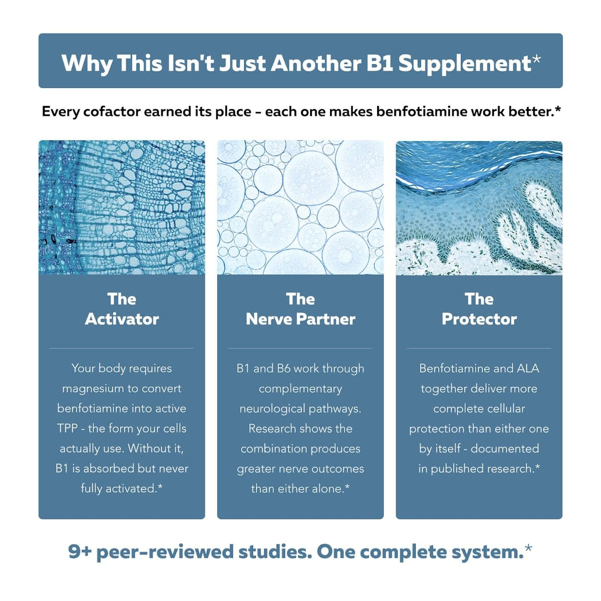 60 capsules of BioActive B1