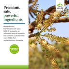 60 capsules of Boswellia extract