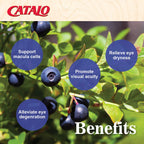 60 capsules of CATALO bilberry extract