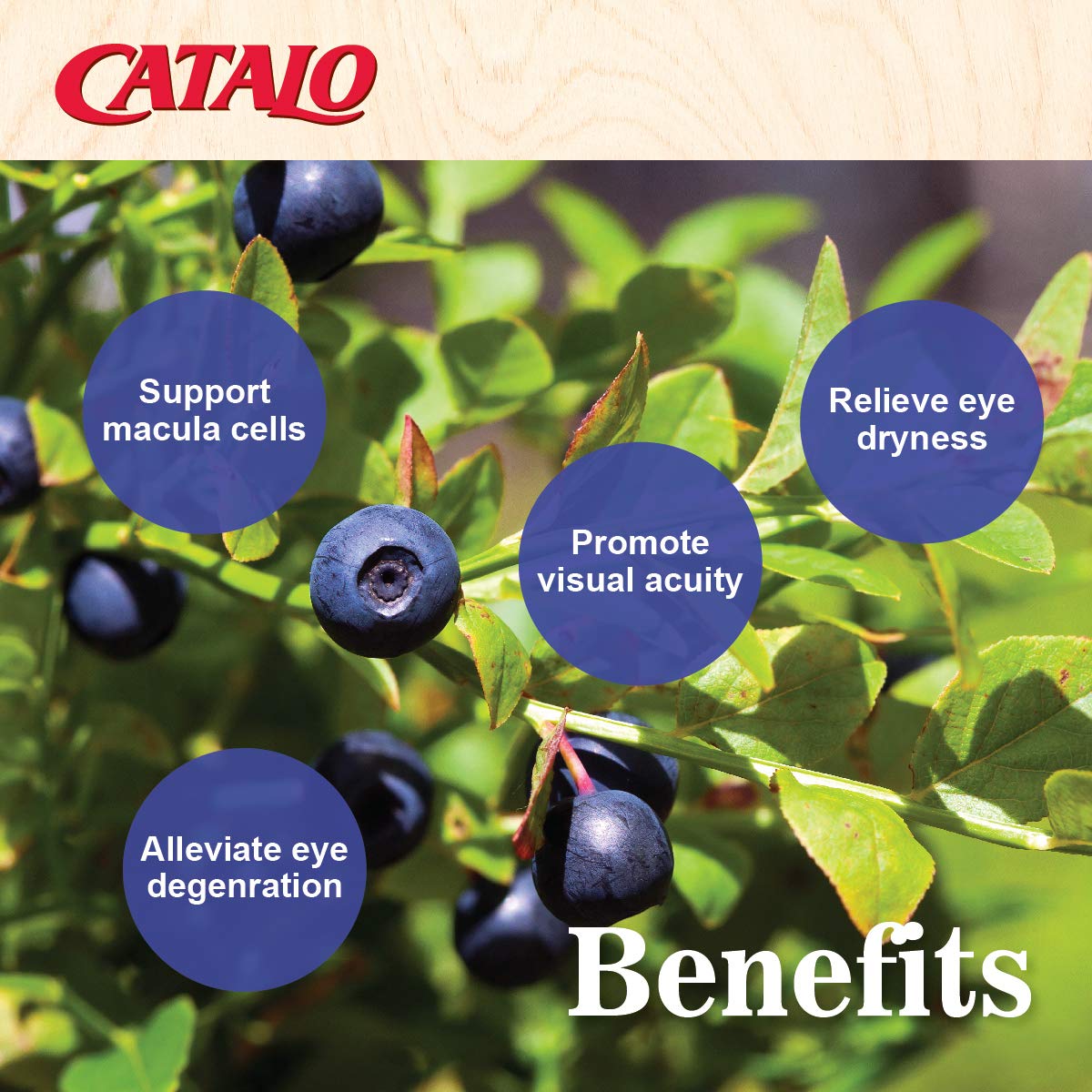 60 capsules of CATALO bilberry extract