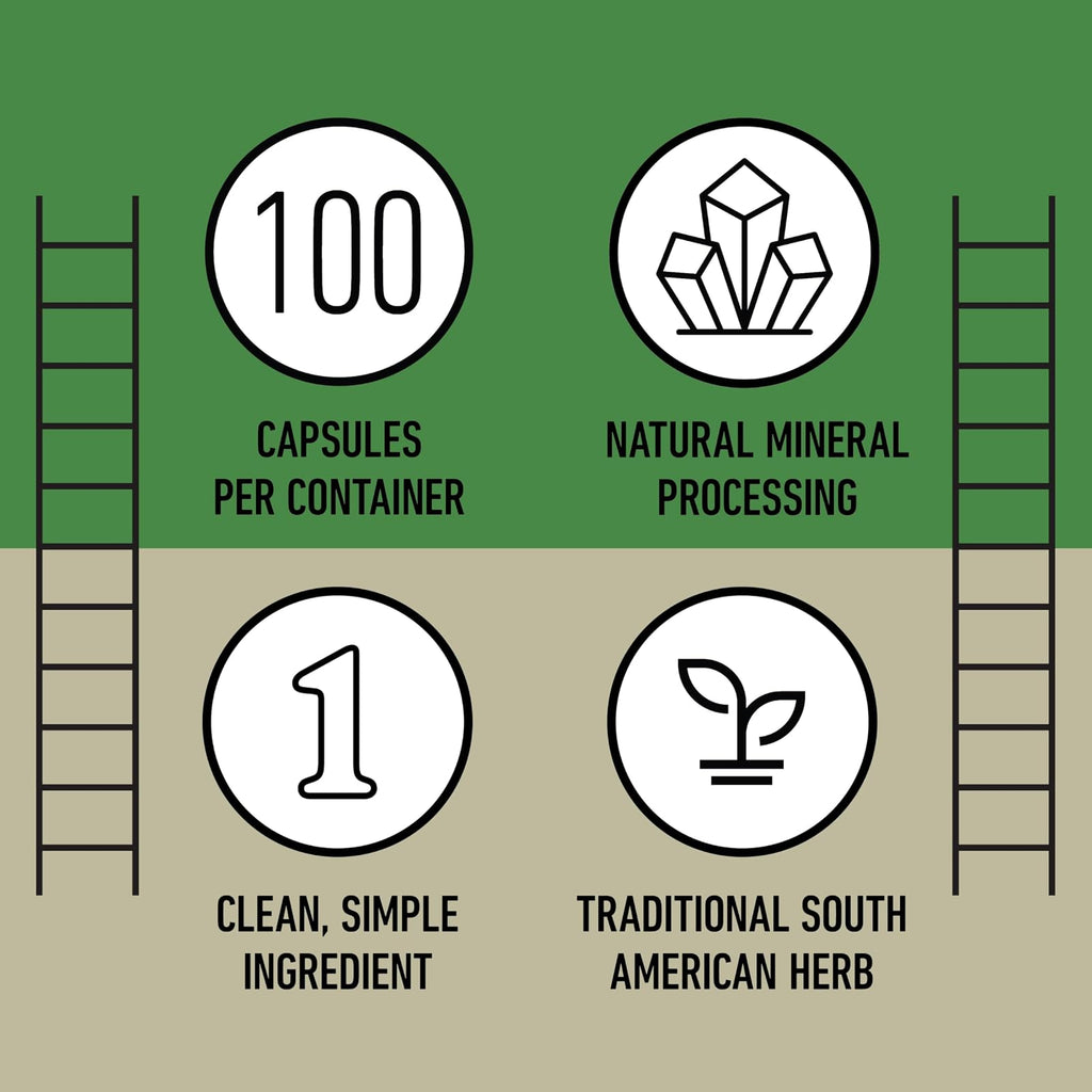 60 capsules of Chanca Piedra extract
